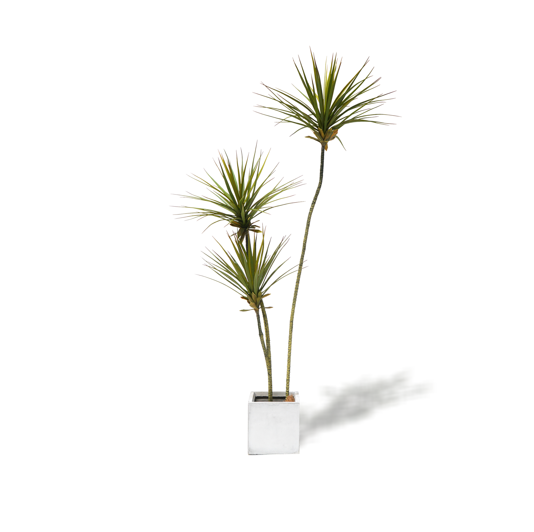 Faux Yucca Tree – Emera furniture