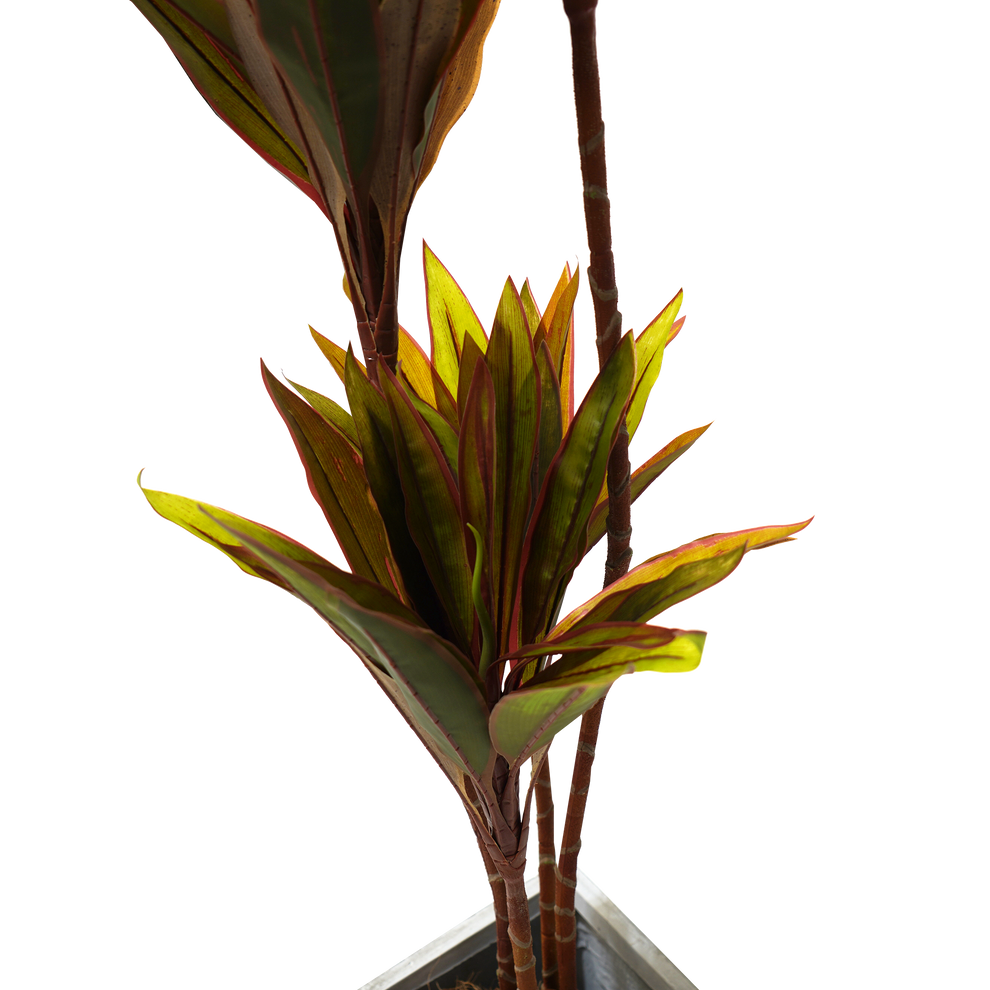 Faux Cordyline fruticosa Tree – Emera furniture